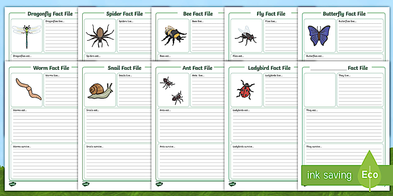 Editable Minibeasts Fact File Sheets (teacher made) - Twinkl