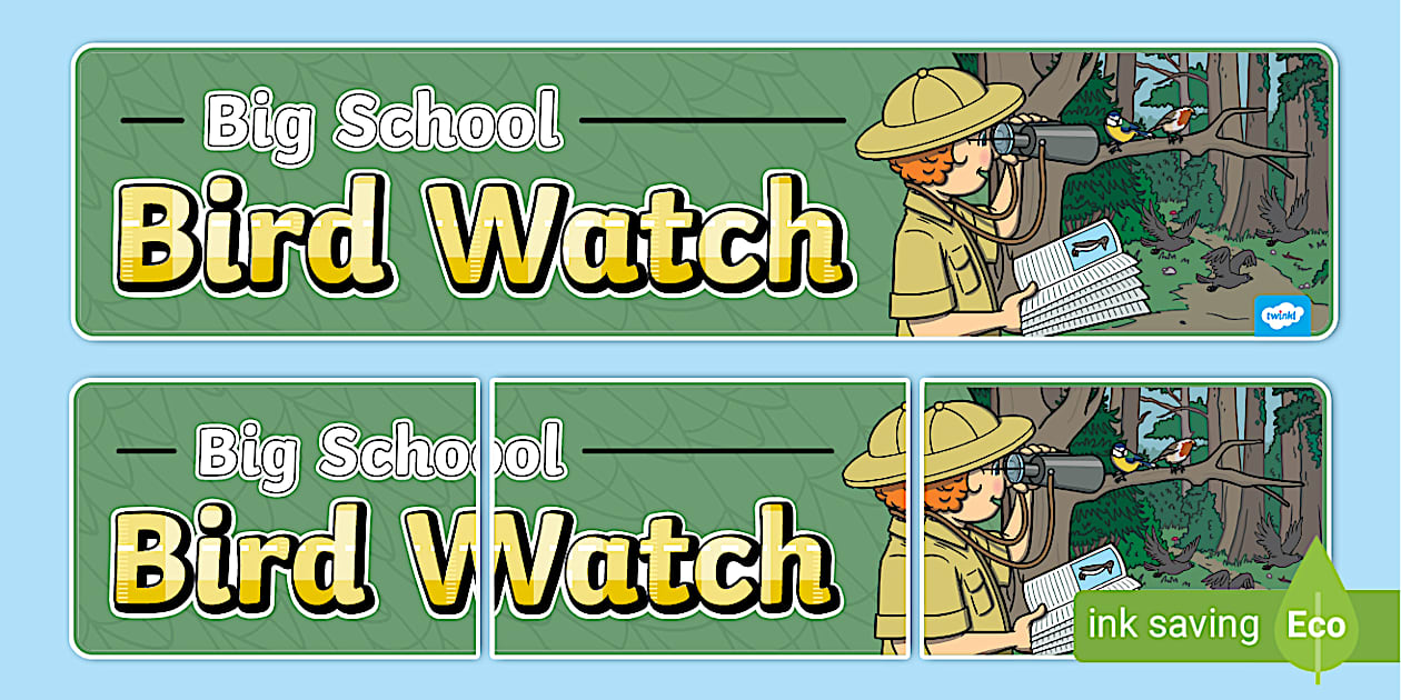 Big School Bird Watch Banner (teacher made) - Twinkl