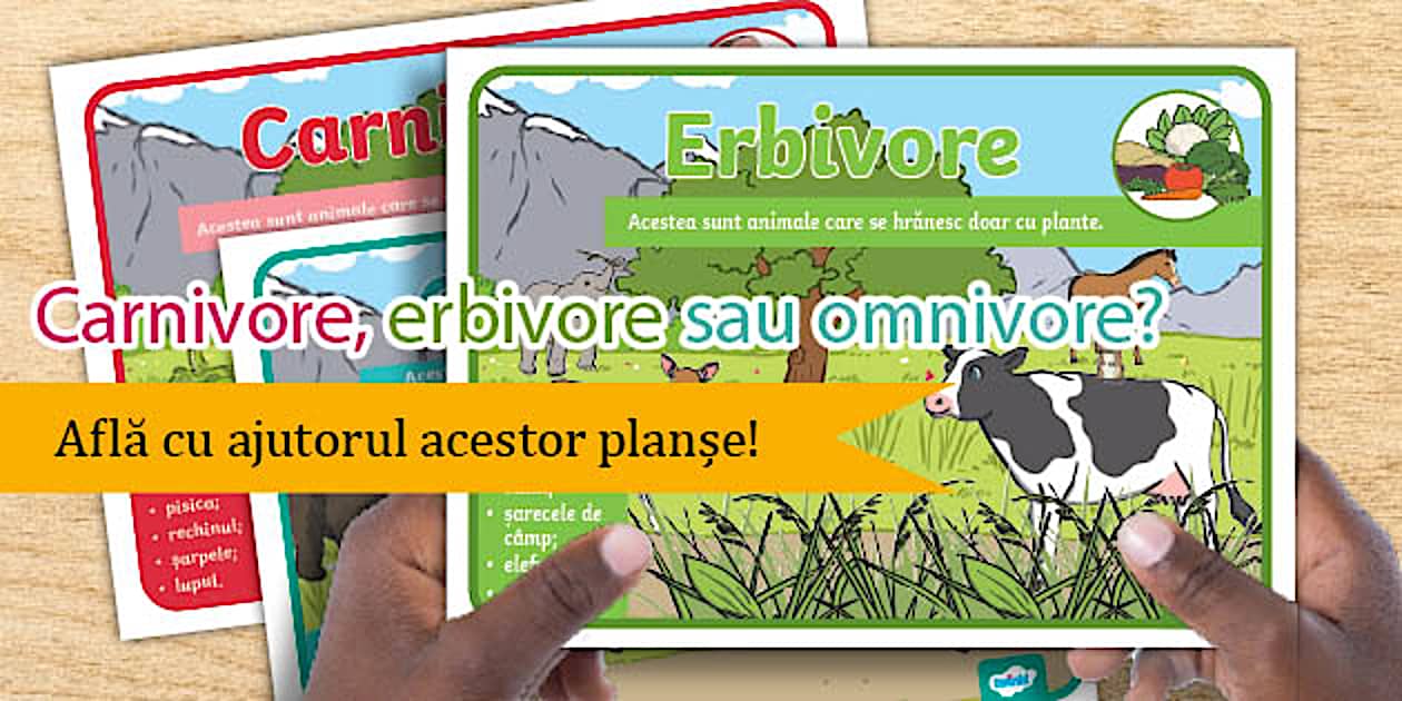 Animale erbivore, omnivore și carnivore – Planșe