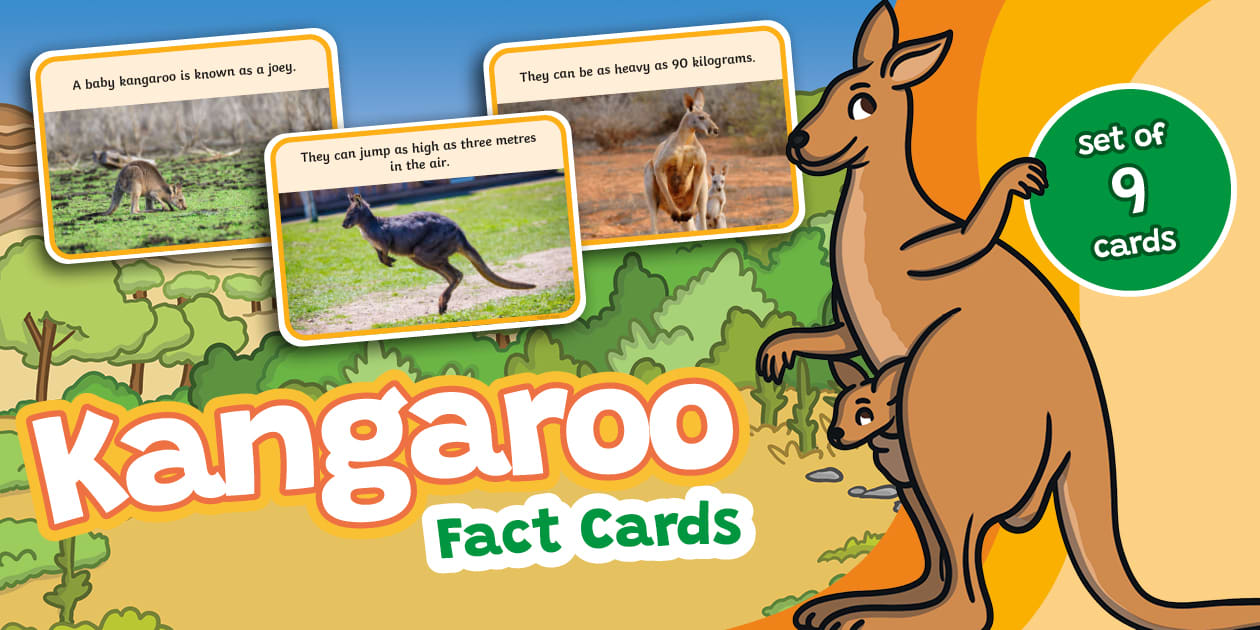 Kangaroo Fact Cards- Fun Facts Pack