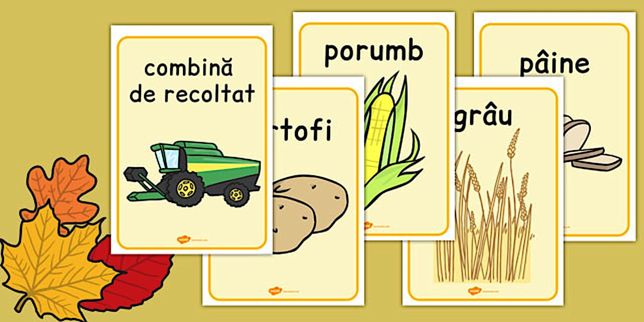 Recolta de toamnă - Planșe (teacher made) - Twinkl