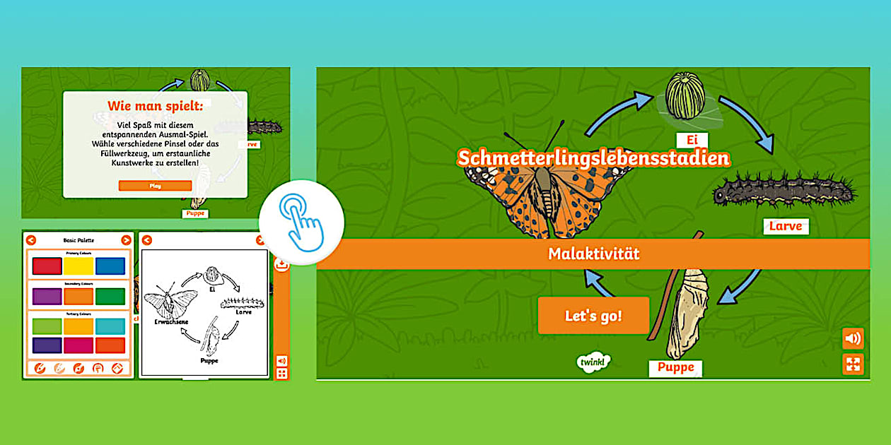 Schmetterlingslebensstadien - Interaktive Ausmalen
