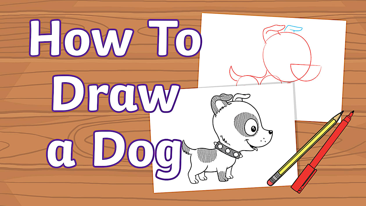 How to Draw a Dog Animation | Twinkl Go!