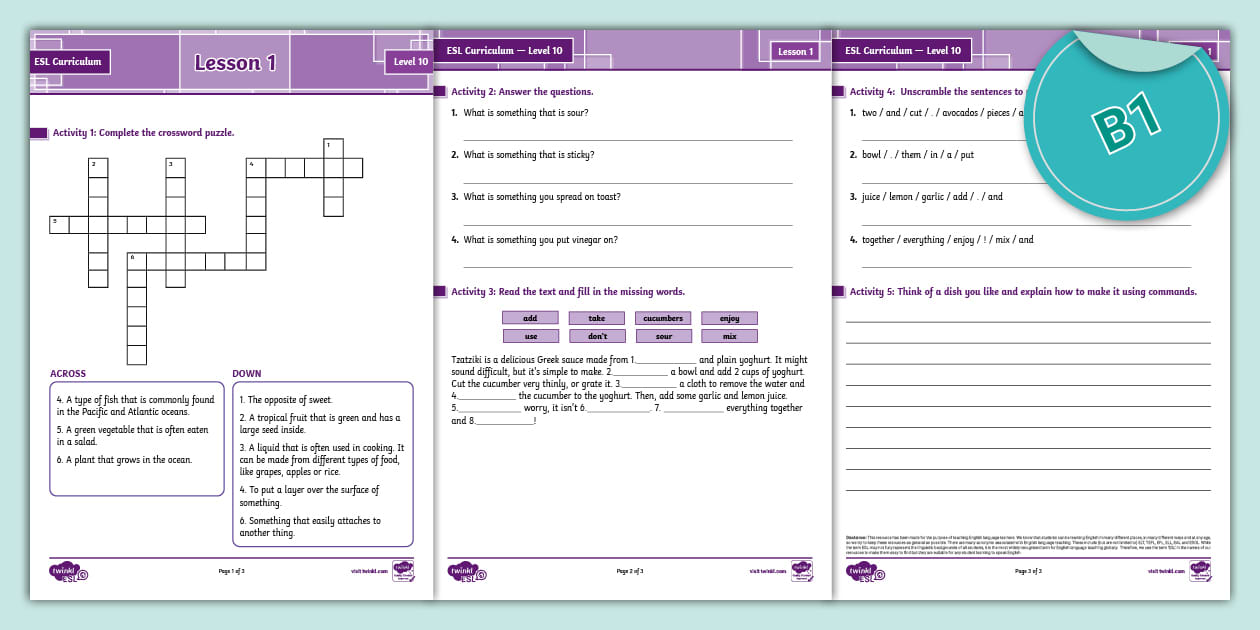 FREE! - ESL Curriculum Level 10 Activity Sheet - Twinkl
