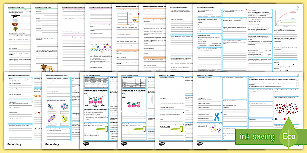 AQA Biology Revision Bundle | Beyond (teacher made) - Twinkl