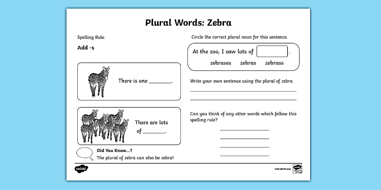 Plural of Zebra Worksheet - Teaching Resource (Teacher-Made)