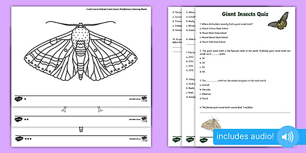 Crash Course Podcast Giant Insects (teacher made) - Twinkl