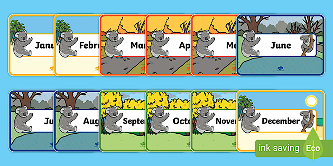NSW Koala Months of the Year and Seasons Display Posters