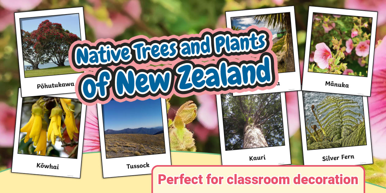 Native Trees and Plants of New Zealand (Aotearoa) - Instant Photo Style