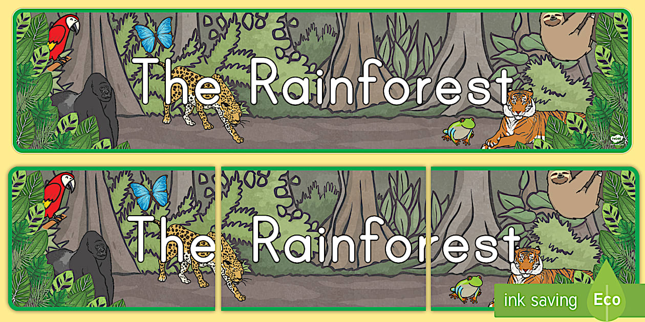 Rainforest Banner (teacher made) - Twinkl