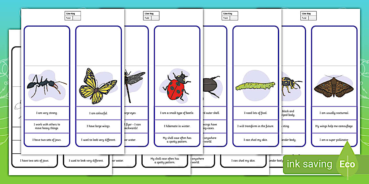 What Am I? Guess the Insect Game (teacher made) - Twinkl