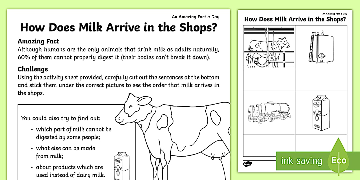 How Does Milk Arrive in the Shops? Worksheet / Worksheet