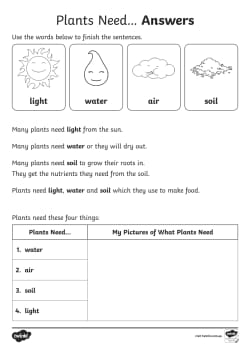 Plants Need Worksheet / Worksheet (teacher made)