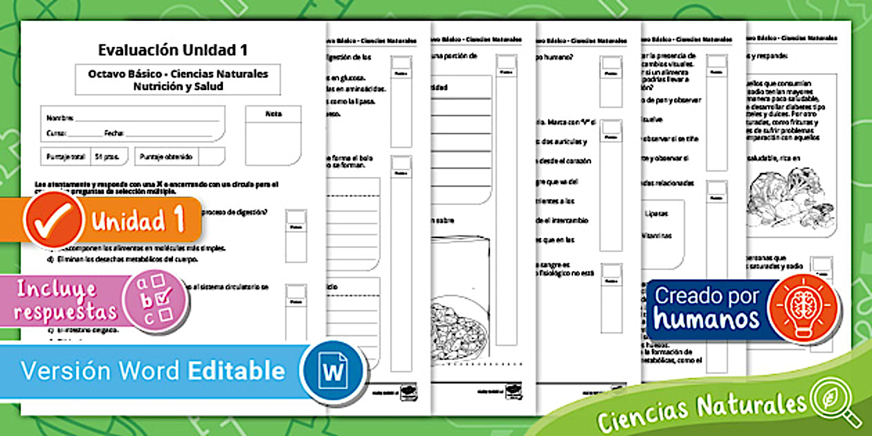 Prueba de Ciencias Naturales de 8º Básico Unidad 1