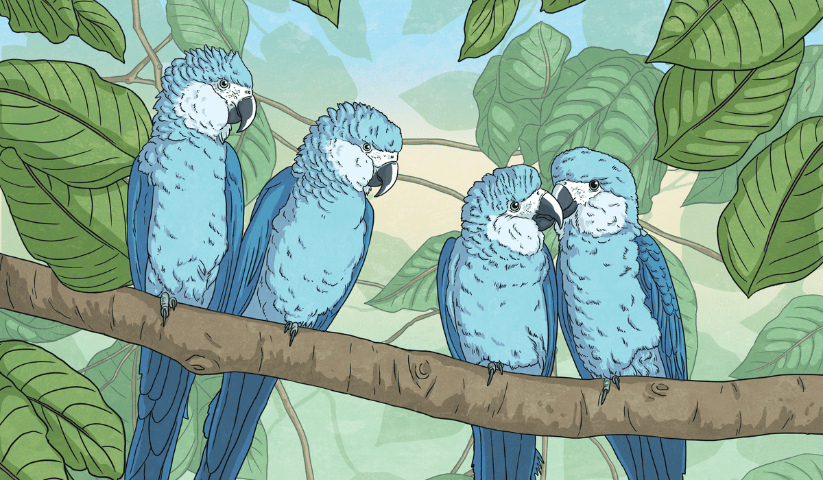 Extinct Bird Makes Wild Comeback - Twinkl NewsRoom - Twinkl