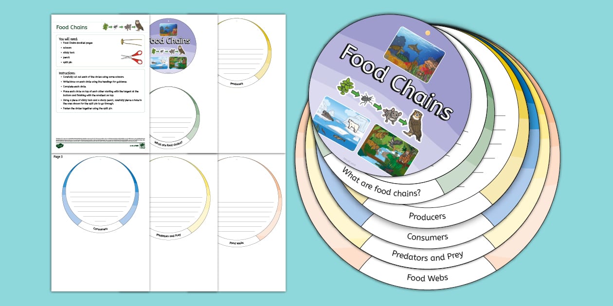 Food Chains Circles Booklet - Twinkl Science - Twinkl