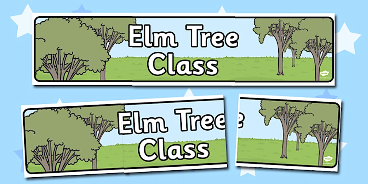 Elm Tree Themed Classroom Display Banner (teacher made)