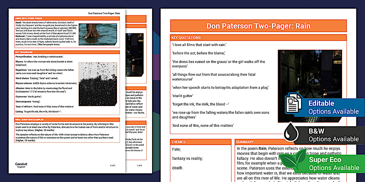 Don Paterson Two-Pager: Rain (teacher made) - Twinkl