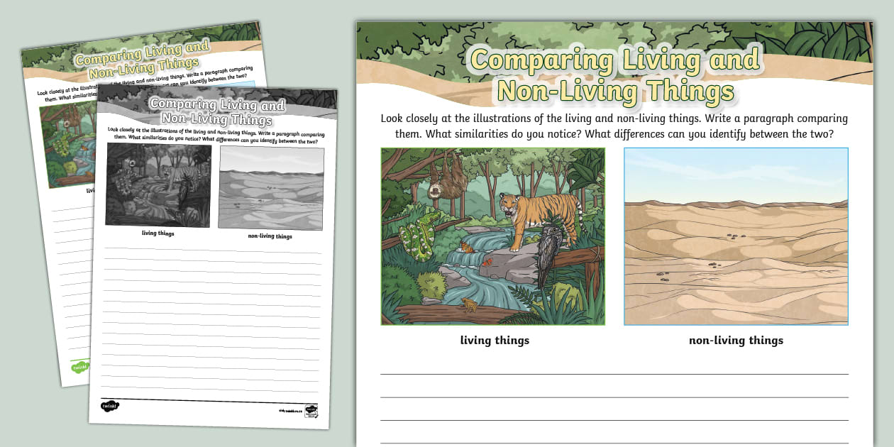 Comparing Living and Non-Living Things Worksheet - Twinkl