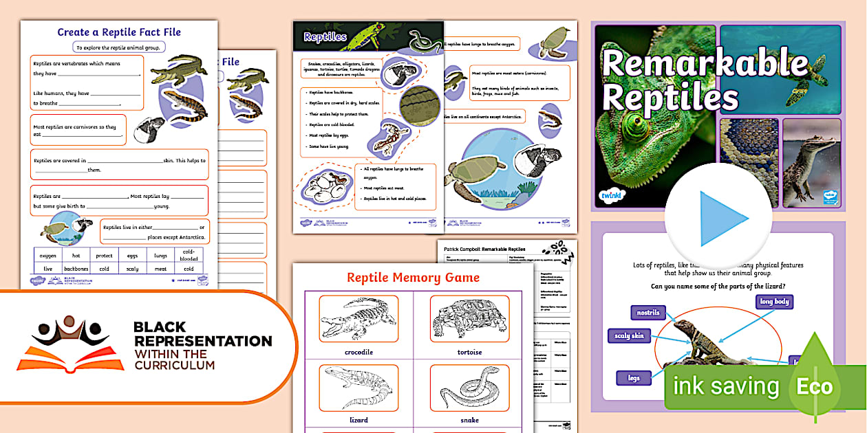 Patrick Campbell KS1: Remarkable Reptiles (Teacher-Made)