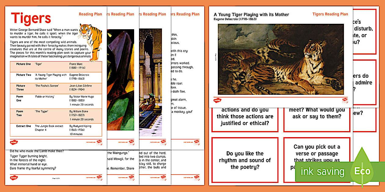 Care Home Tiger Reading Plan Resource Packck