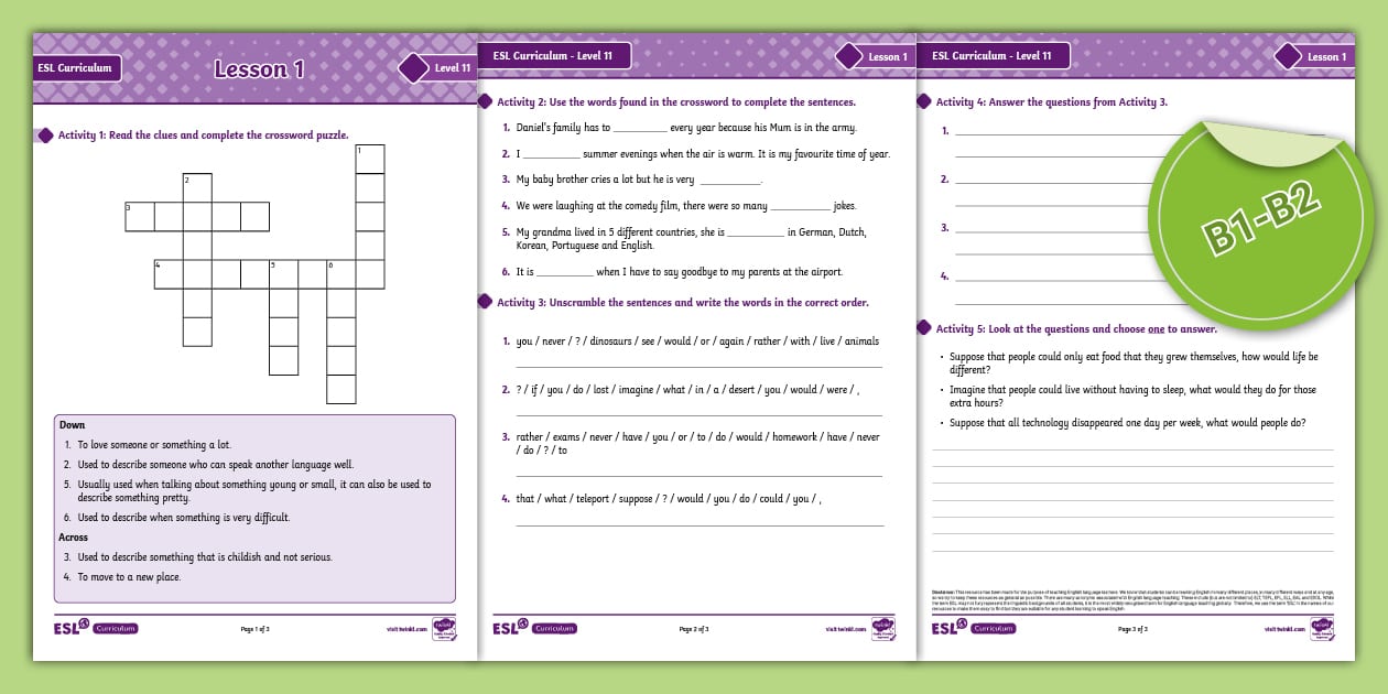 ESL Curriculum Level 11 Activity Sheet (teacher made)