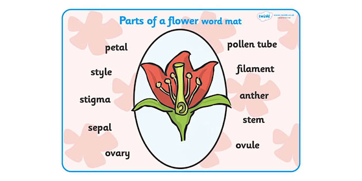 Parts of a Flower Word Mat