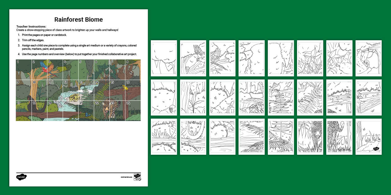 Rainforest Biome Collaborative Art Pack (teacher made)