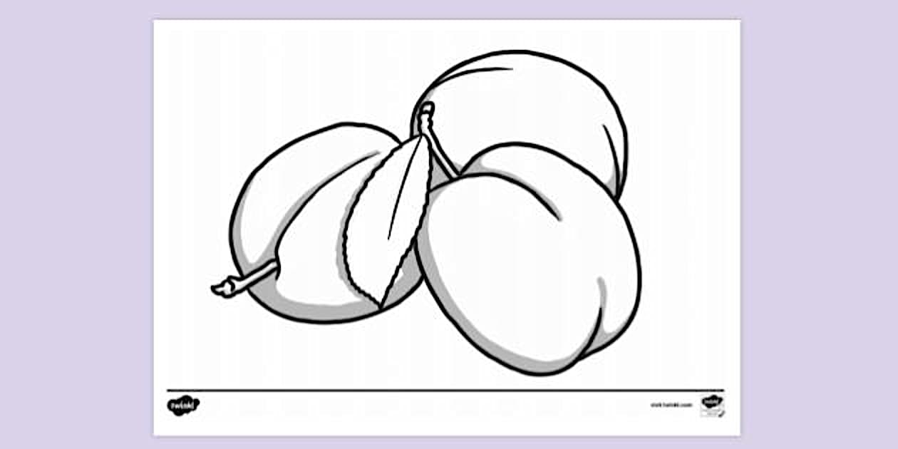 Plums Colouring Sheet (teacher made) - Twinkl