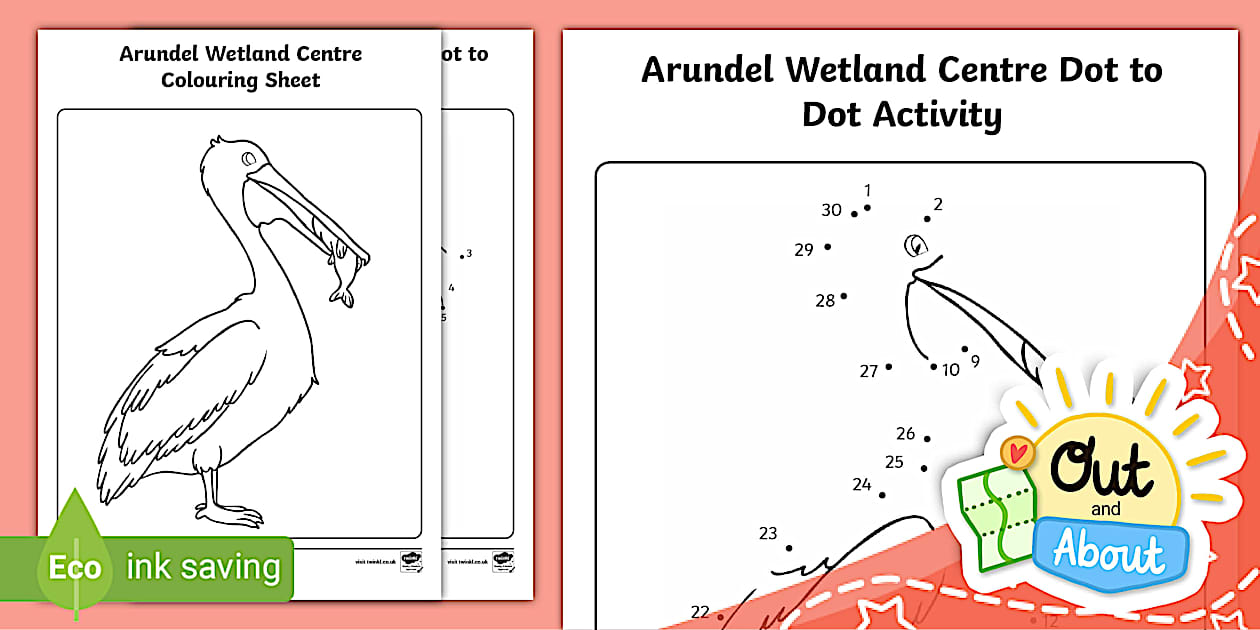 Arundel Wetland Centre Activity Pack (teacher made) - Twinkl