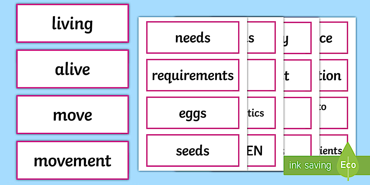 Living Things Word Wall (teacher made) - Twinkl