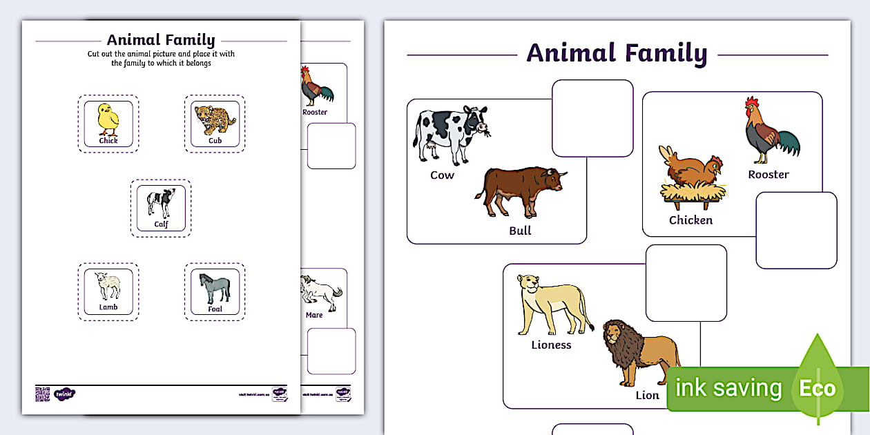 Animal Family Activity (teacher made) - Twinkl