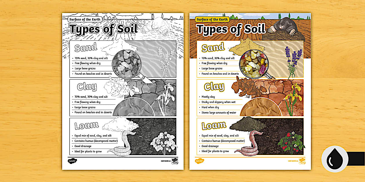 Three Types of Soil Poster (teacher made) - Twinkl