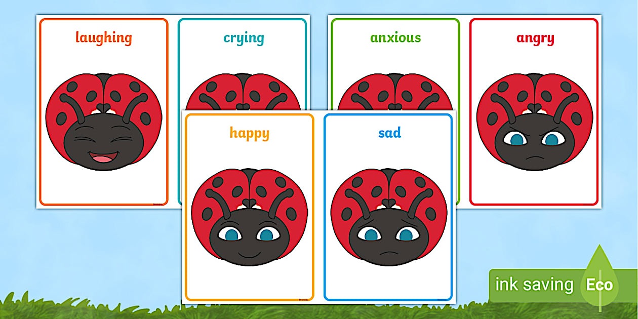 Ladybird Emotions Flashcards (teacher made) - Twinkl