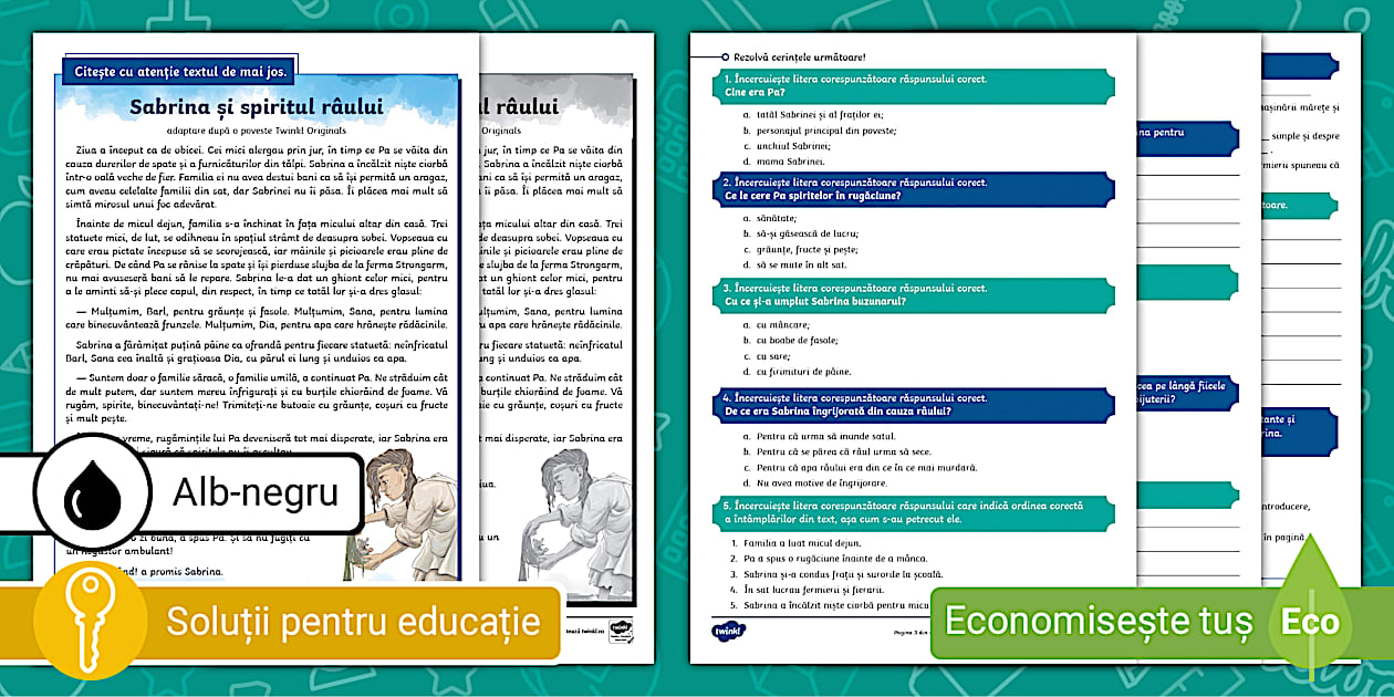 Pregătire pentru Evaluarea Națională - Clasa a IV-a - Română