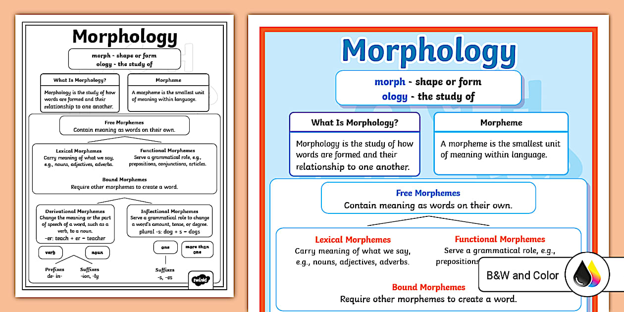 Morphology Poster for 6th-8th Grade (teacher made) - Twinkl