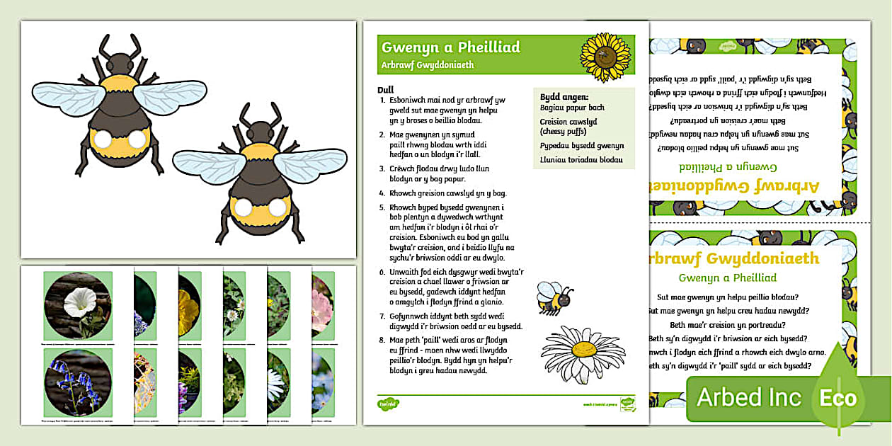 Arbrawf Gwyddoniaeth Gwenyn a Pheilliad