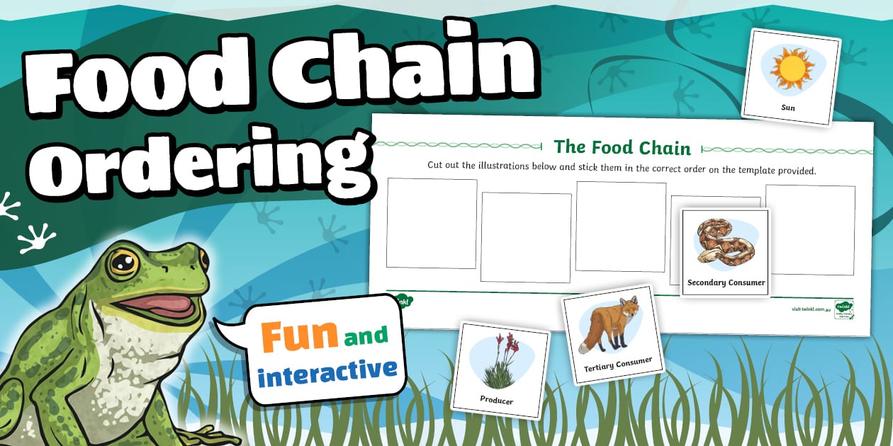 Food Chain Ordering Worksheet