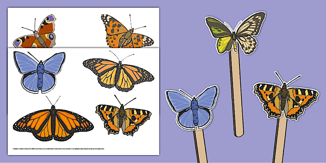 Butterfly Stick Puppets - Twinkl - KS1 (teacher made)