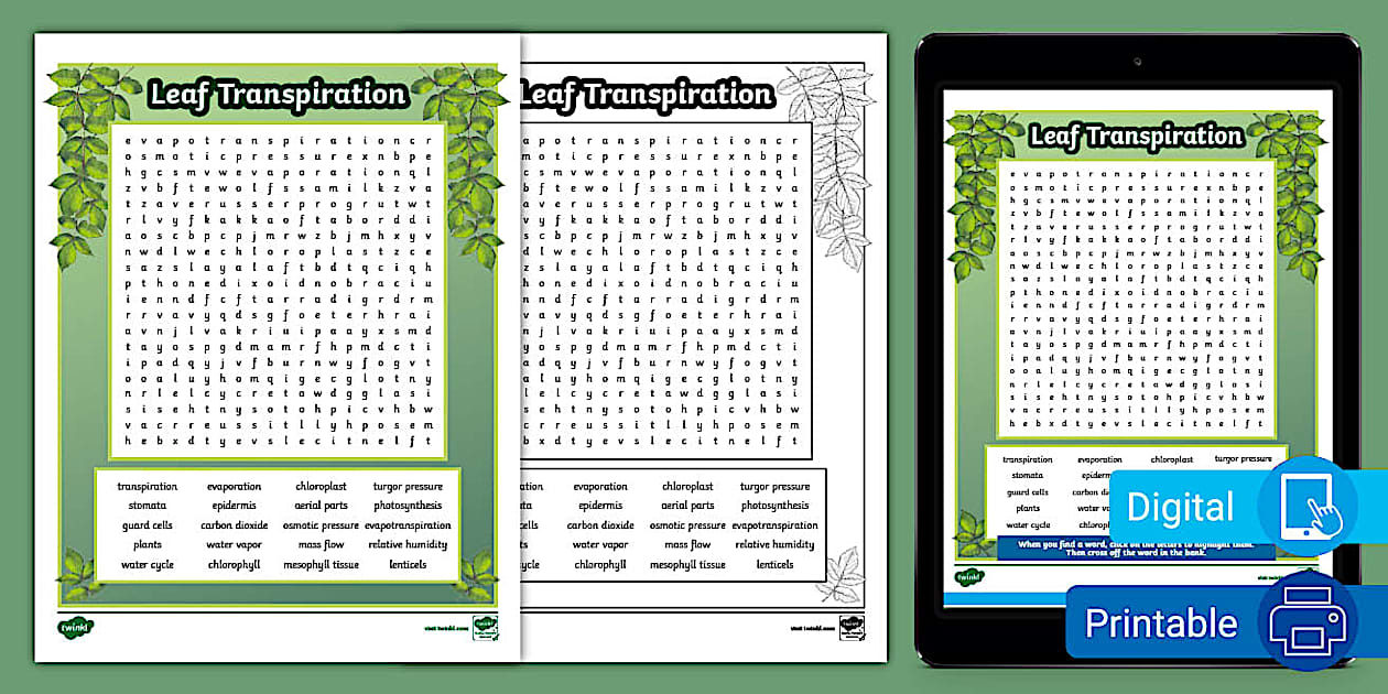 Leaf Transpiration Word Search for 6th-8th Grade - Twinkl