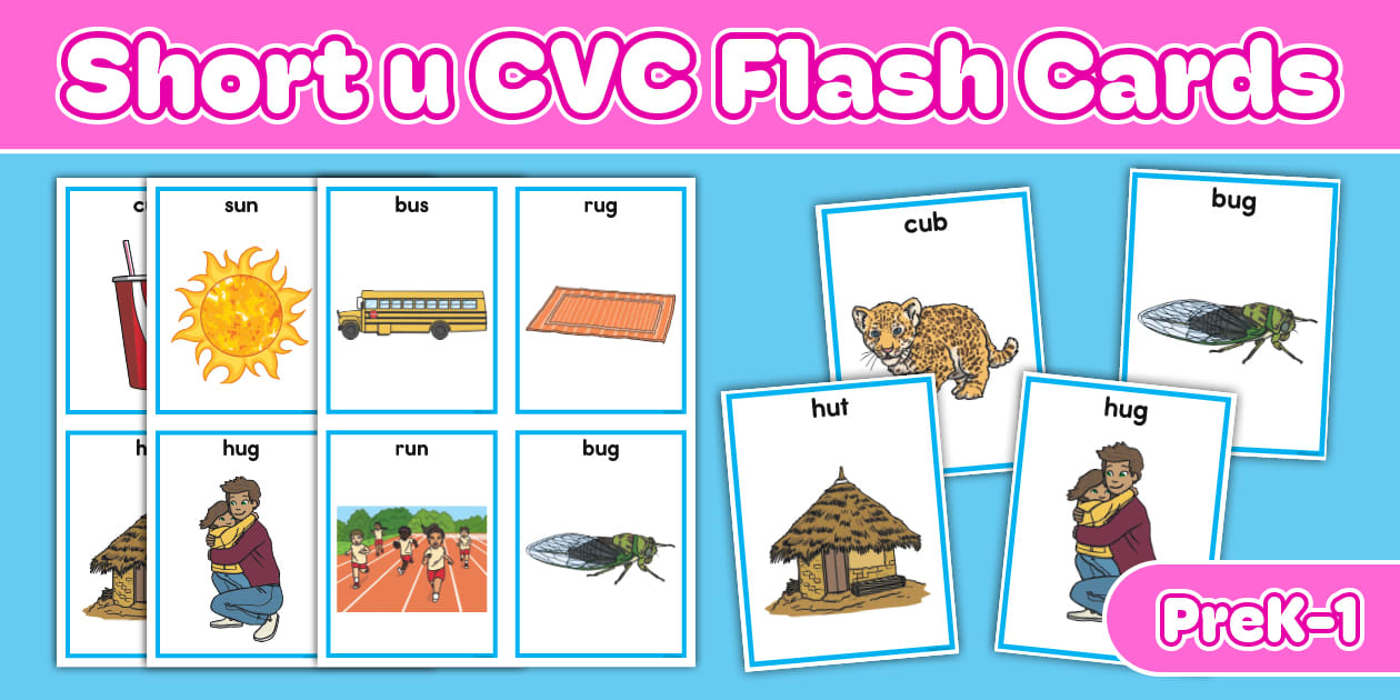 CVC Flash Cards (u)