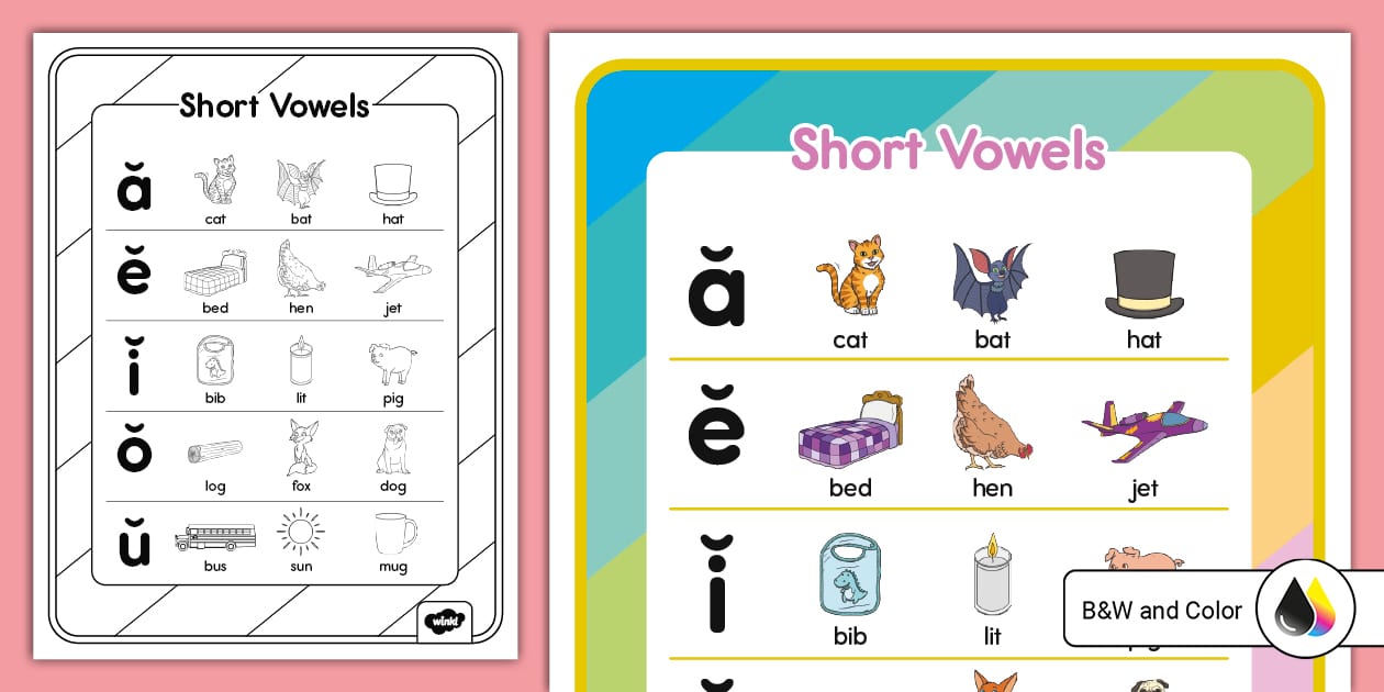 Short Vowel Poster (teacher made) - Twinkl