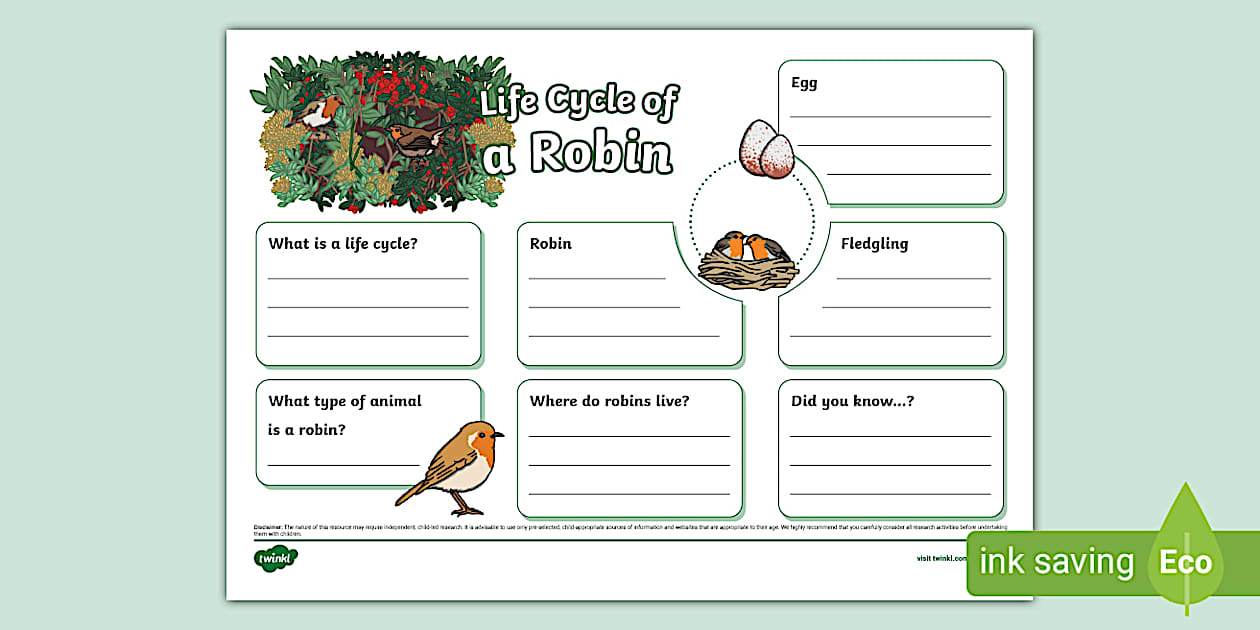 Life Cycle of a Robin Fact File Template (Teacher-Made)