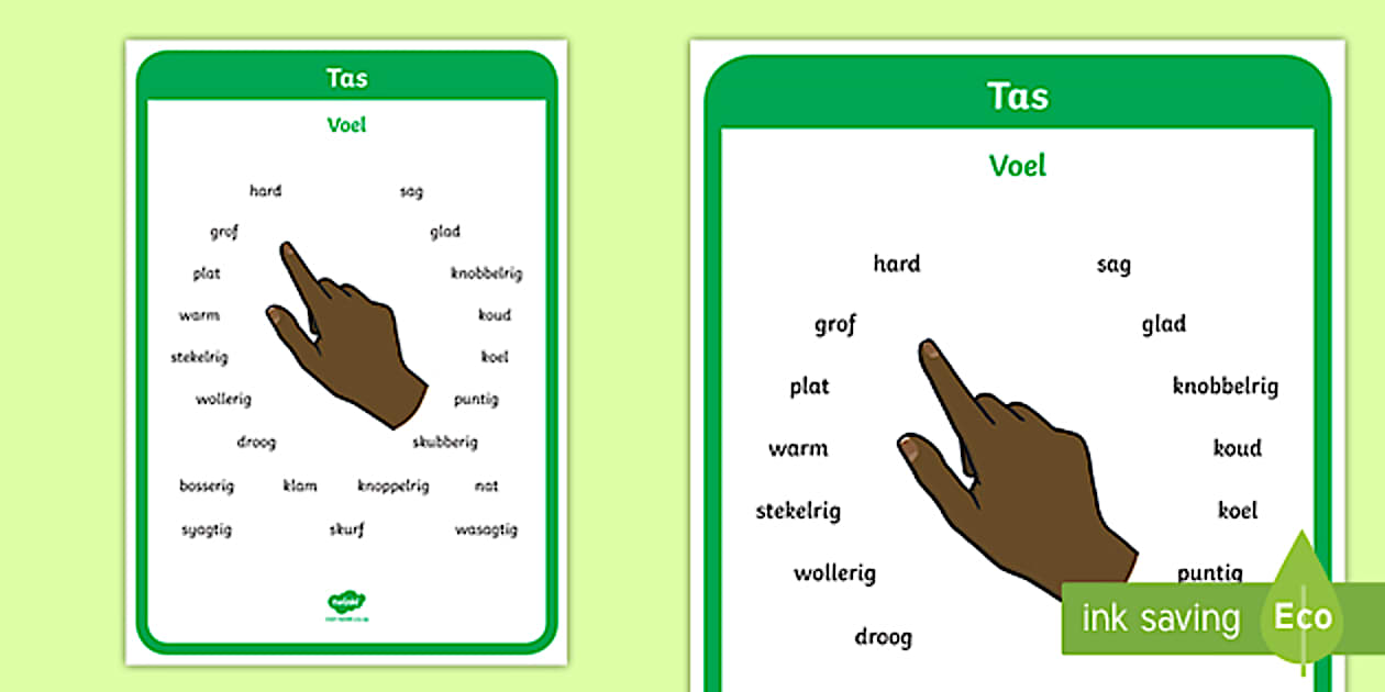Tas Woordeskat Vertoon Plakkaat (Teacher-Made) - Twinkl
