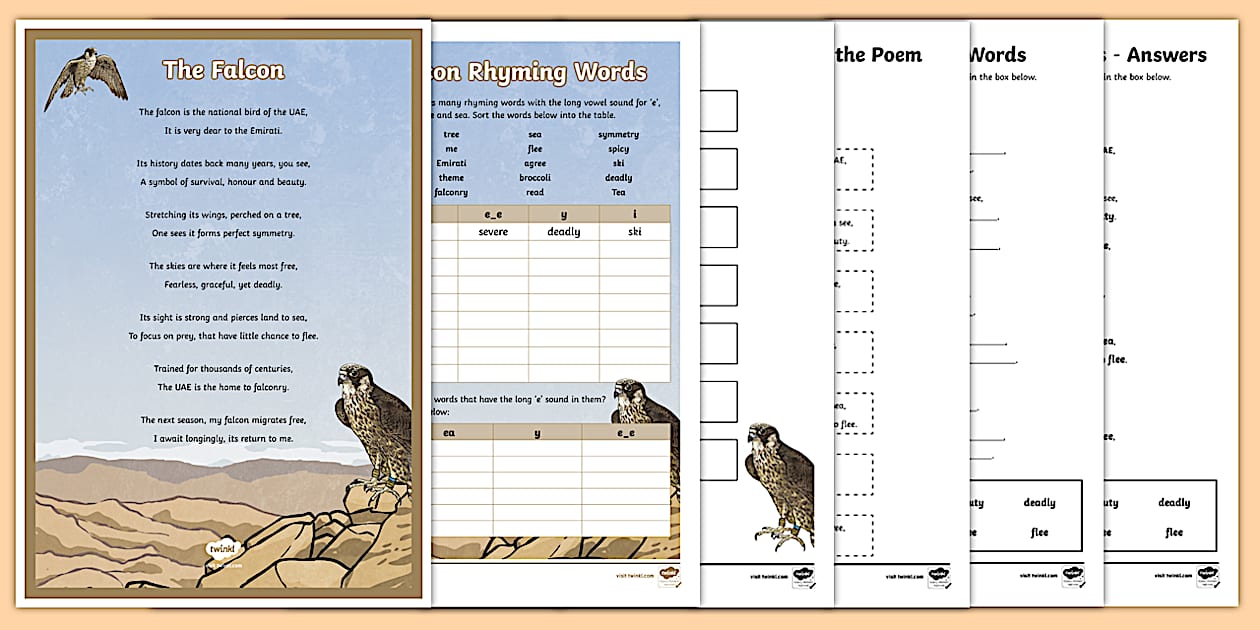 The Falcon Poem Activity Pack - Twinkl