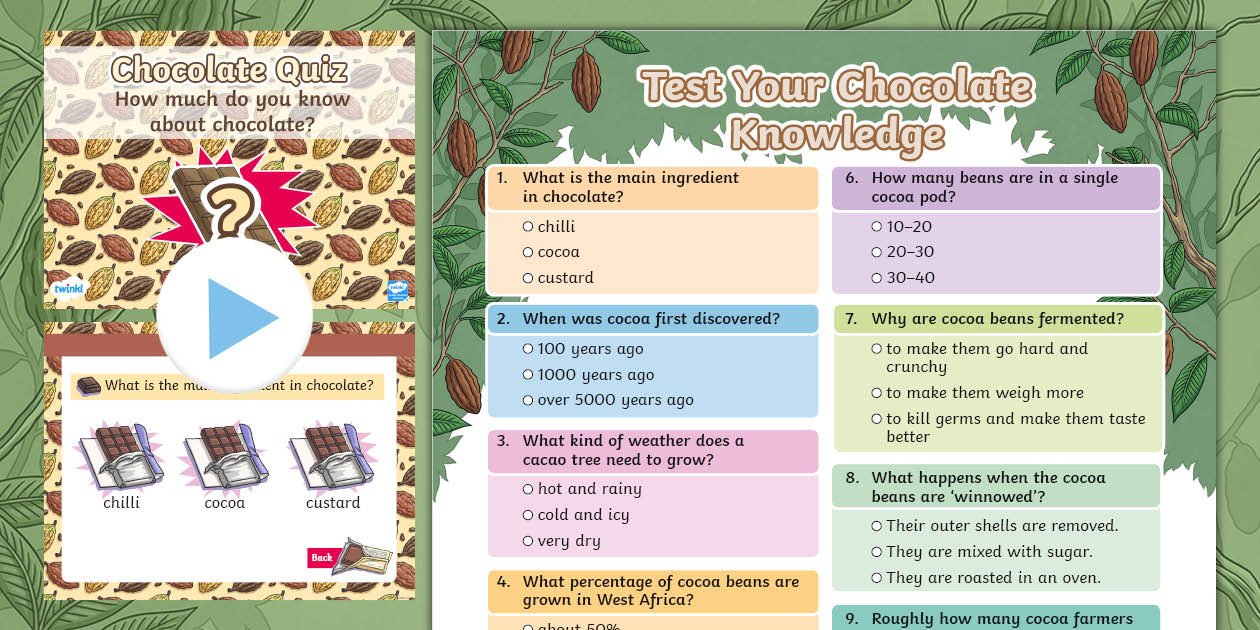 Test Your Chocolate Knowledge KS2 Quiz: The Chocolate Choice