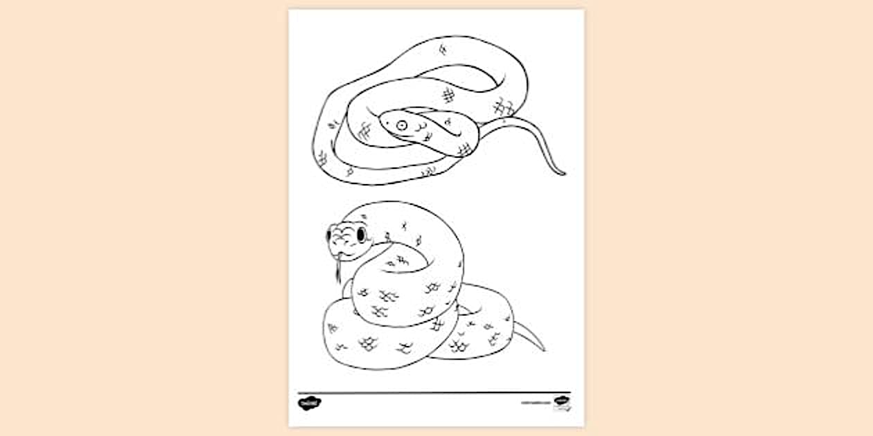 Snake Colouring | Colouring Sheets (teacher made) - Twinkl
