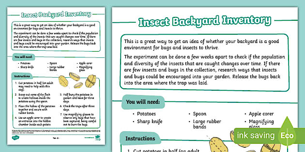 Insect Backyard Inventory Activity (Teacher-Made) - Twinkl