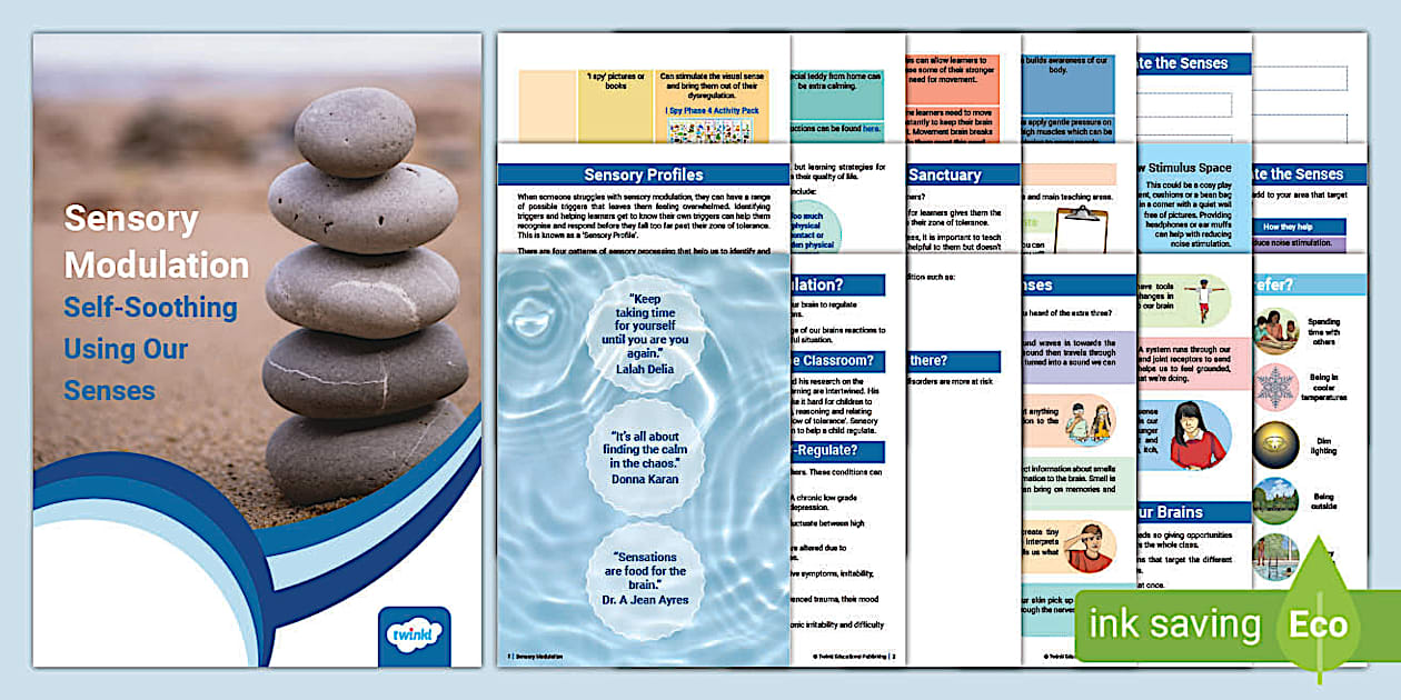 Using Sensory Modulation in the Classroom: A Guide for Teachers