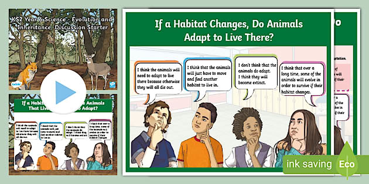 KS2 Year 6 Evolution and Inheritance Science Discussion Starter